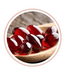 Krill Oil Plus: Unlock Your Health Potential with Omega-3 Powerhouse